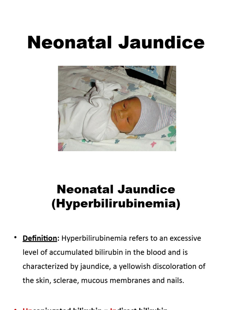 Jaundice Neonatal | PDF