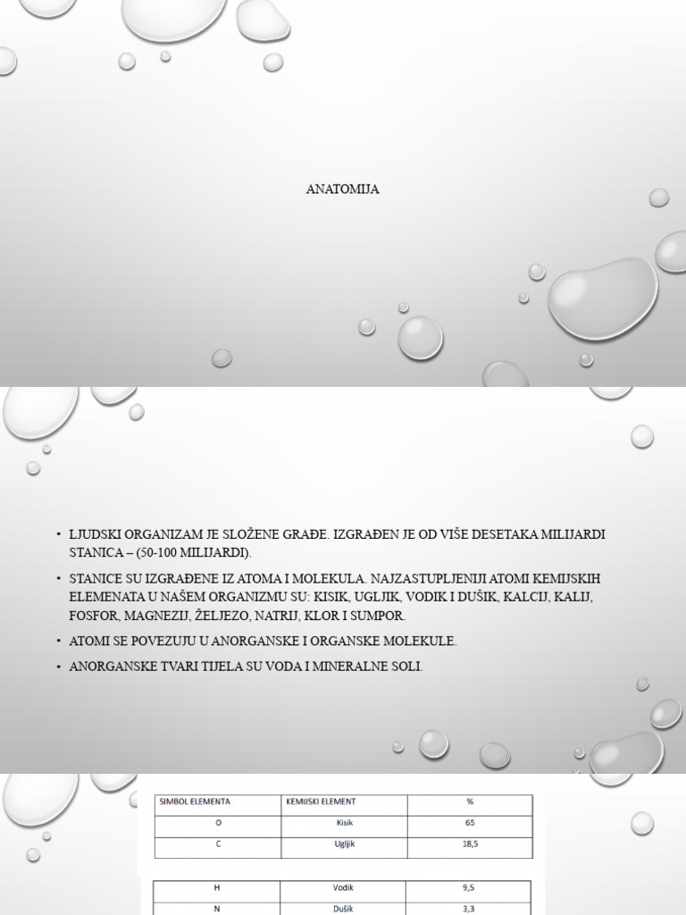Anatomija | PDF