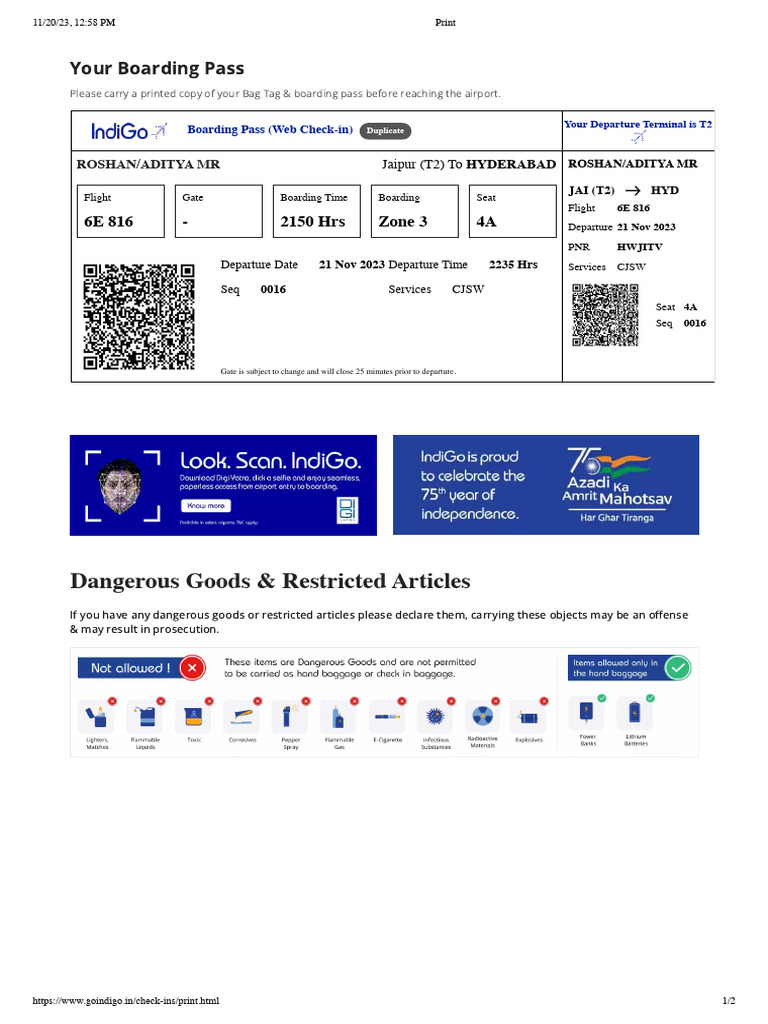 Boarding Pass | PDF | Baggage | Transport