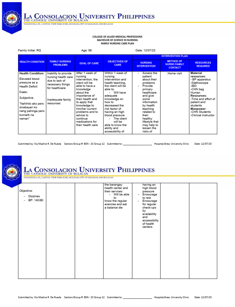 LCUP Family Nursing Care Plan Format 2023 | Download Free PDF | Nursing ...