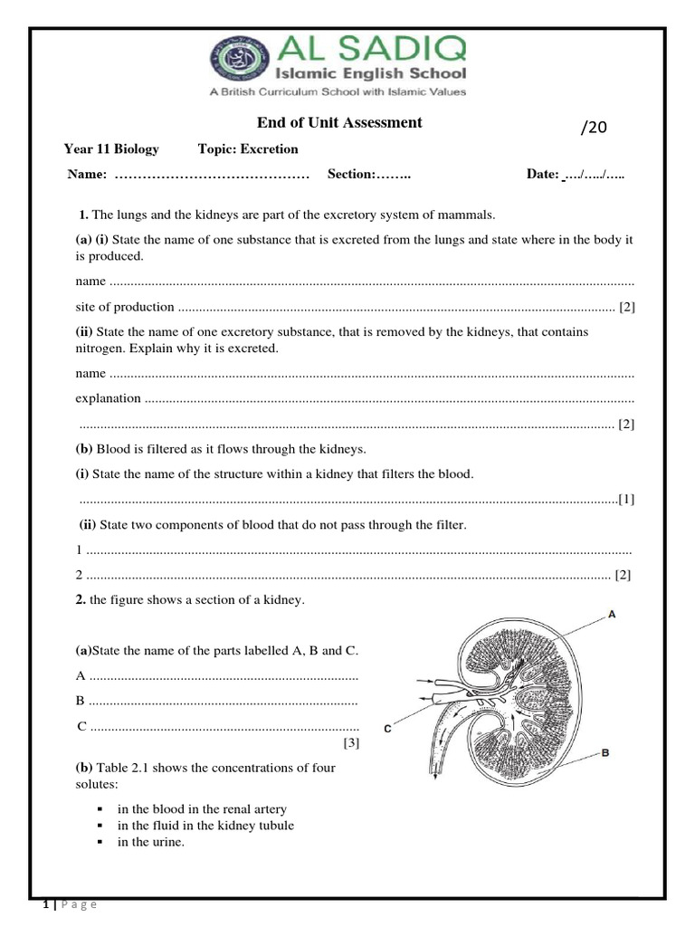 Excretion - EOU | PDF | Kidney | Excretion