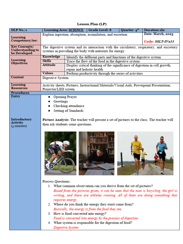 Digestive System Lesson Plan JHS | PDF | Human Digestive System | Digestion