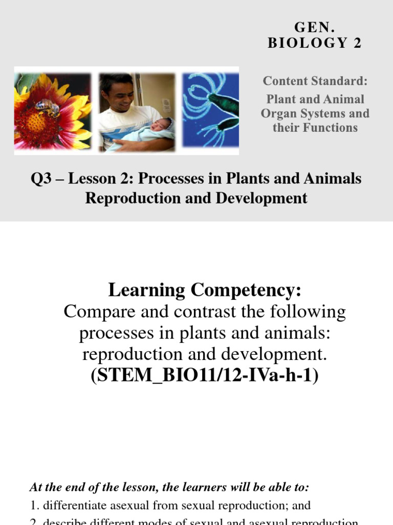 Lesson 2 Processes in Plants and Animals-Reproduction | PDF | Plant ...