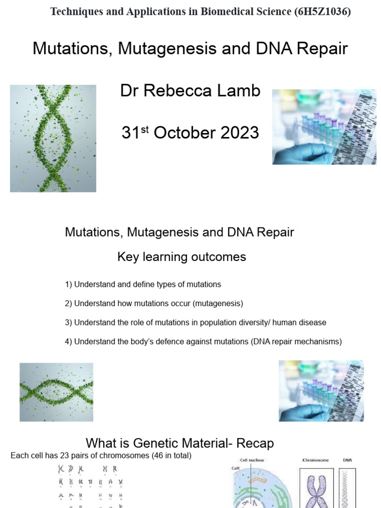 Mutation Mutagenesis and DNA Repair 2023 | PDF | Mutation | Dna
