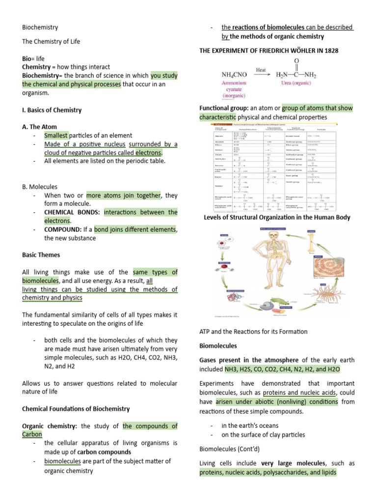 Biochemistry (The Chemistry of Life) | PDF | Cell (Biology ...