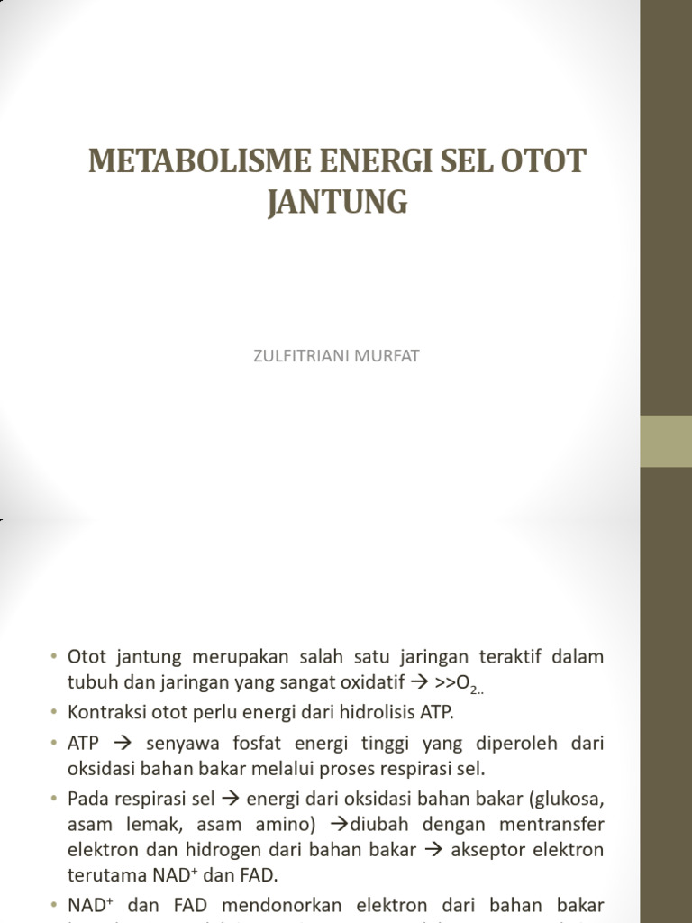 Metabolisme Energi Otot Jantung | PDF