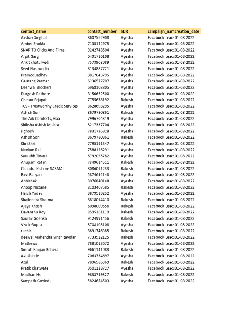 Data Analyst Assignment | PDF