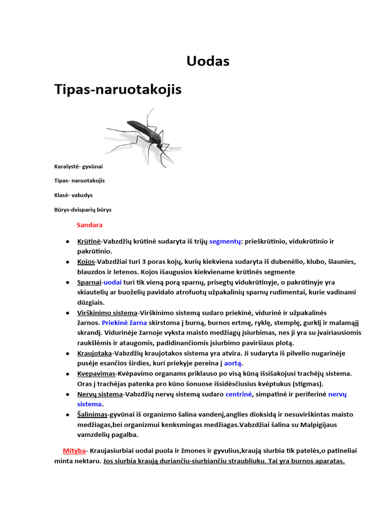 Uodas 2 | PDF