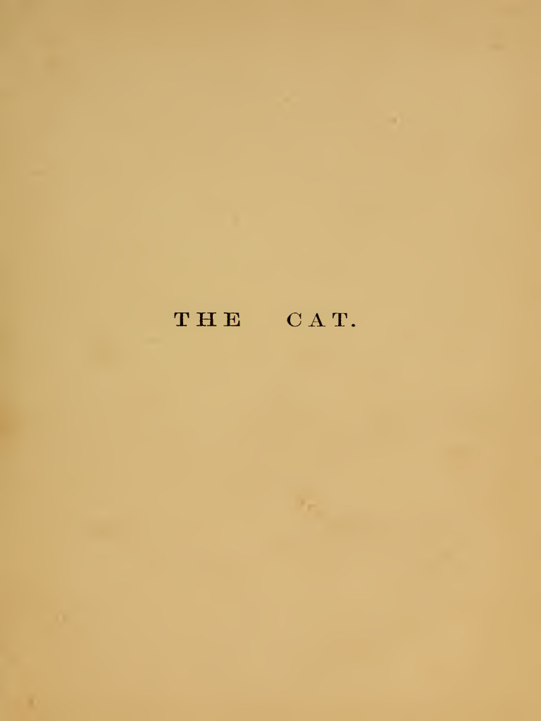 The Cat | PDF