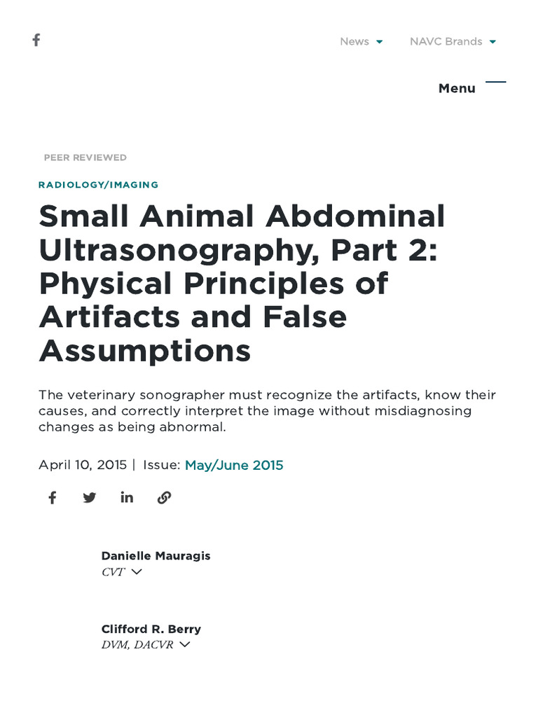 Small Animal Abdominal Ultrasonography, Part 2 - Physical Principles of Artifacts and False ...