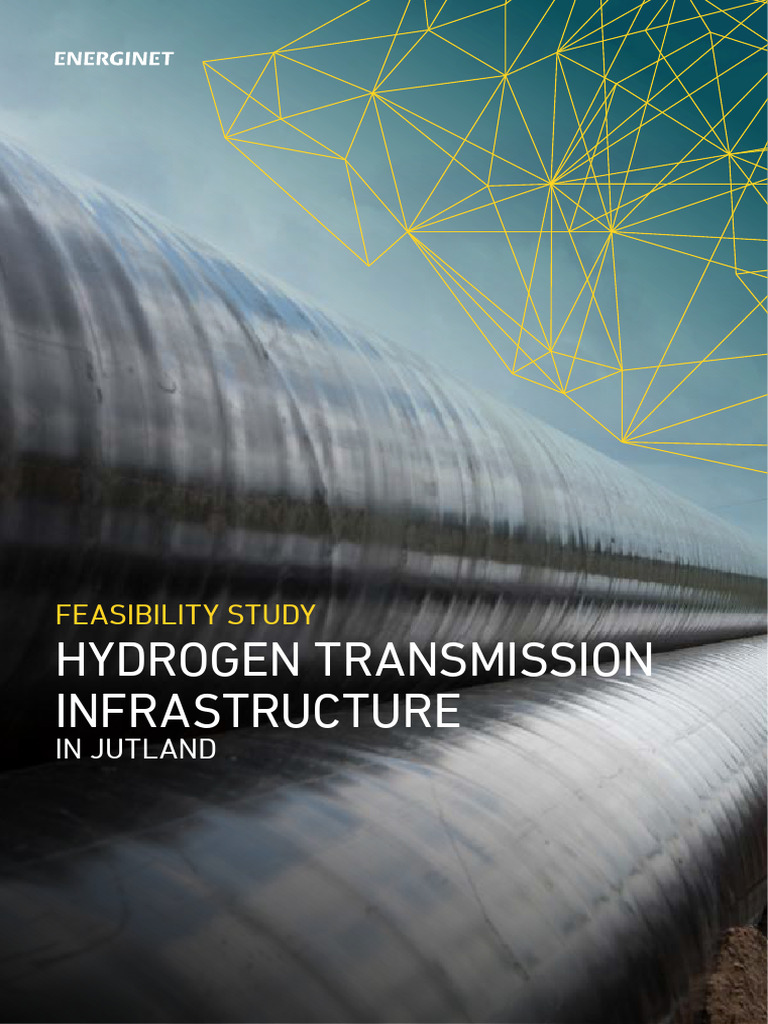 Results of The Feasibility Study | PDF | Infrastructure | Risk