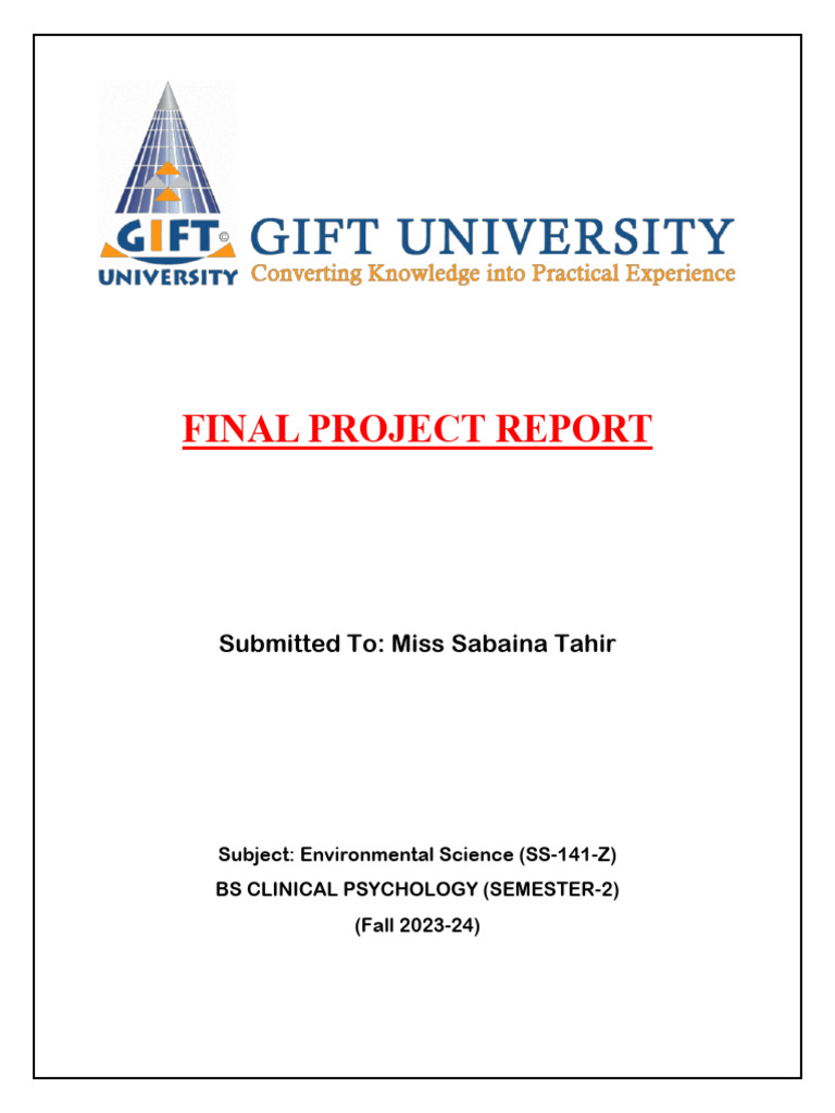 Final Project Report | PDF | United Nations Environment Programme | Air Pollution