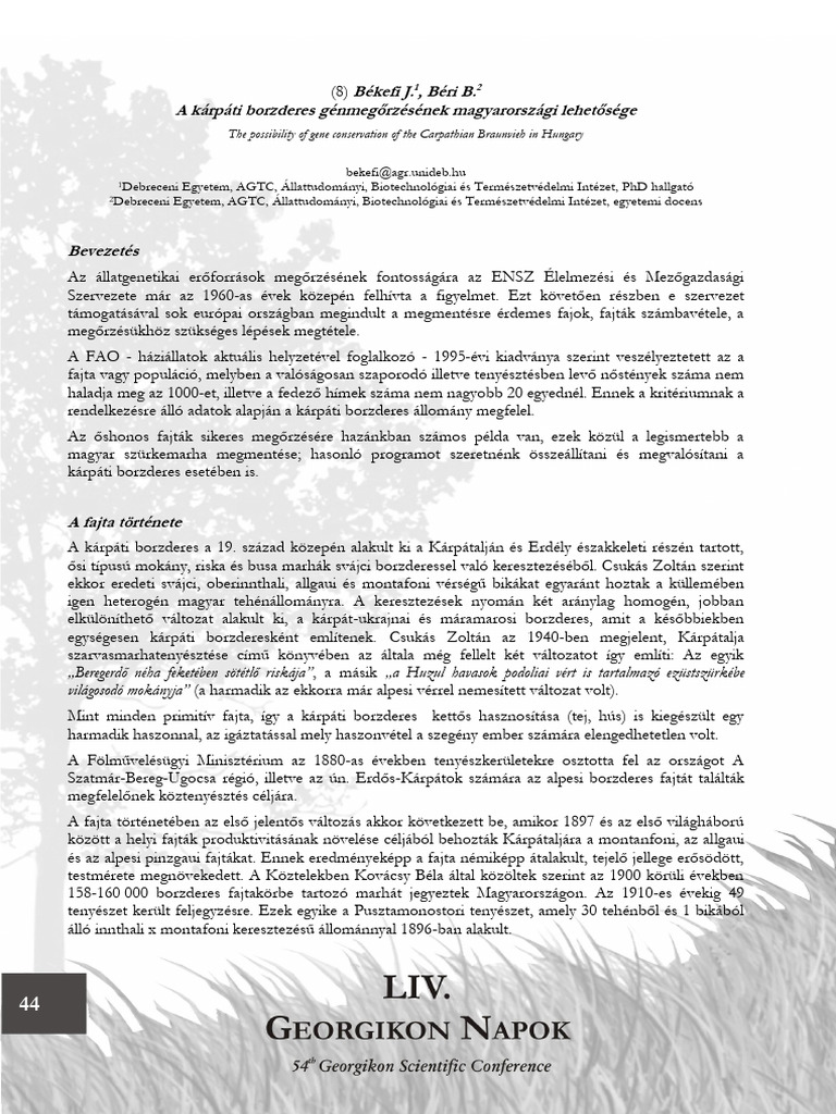 Borzderes Cikk | PDF