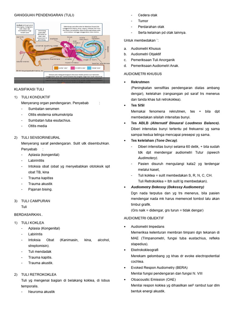 Gangguan Pendengaran | PDF