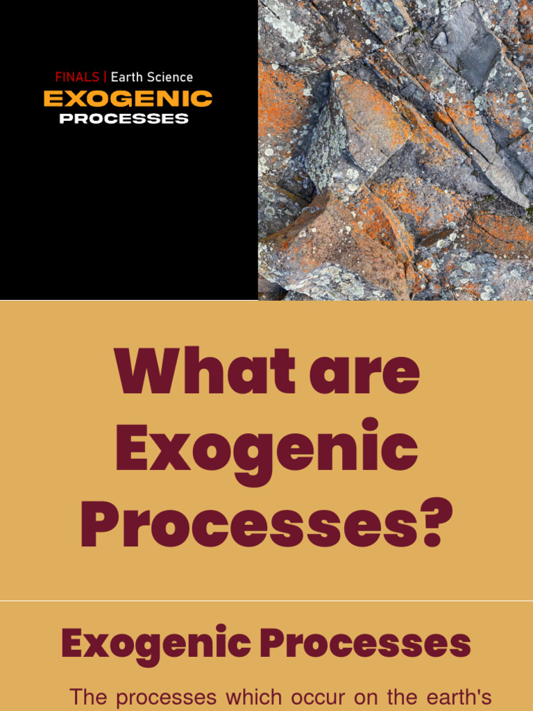 (ESci) Lesson 8 - Exogenic Processes | PDF