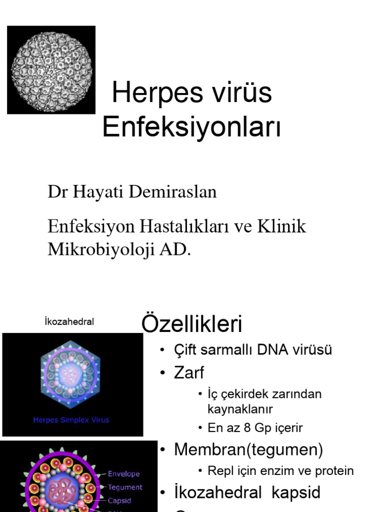 Herpesvirus Enfeksiyonları - Eylül 2016 | PDF