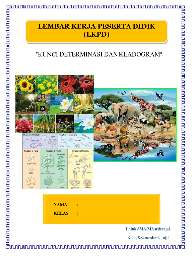 Kunci Determinasi dan Kladogram Biologi | PDF
