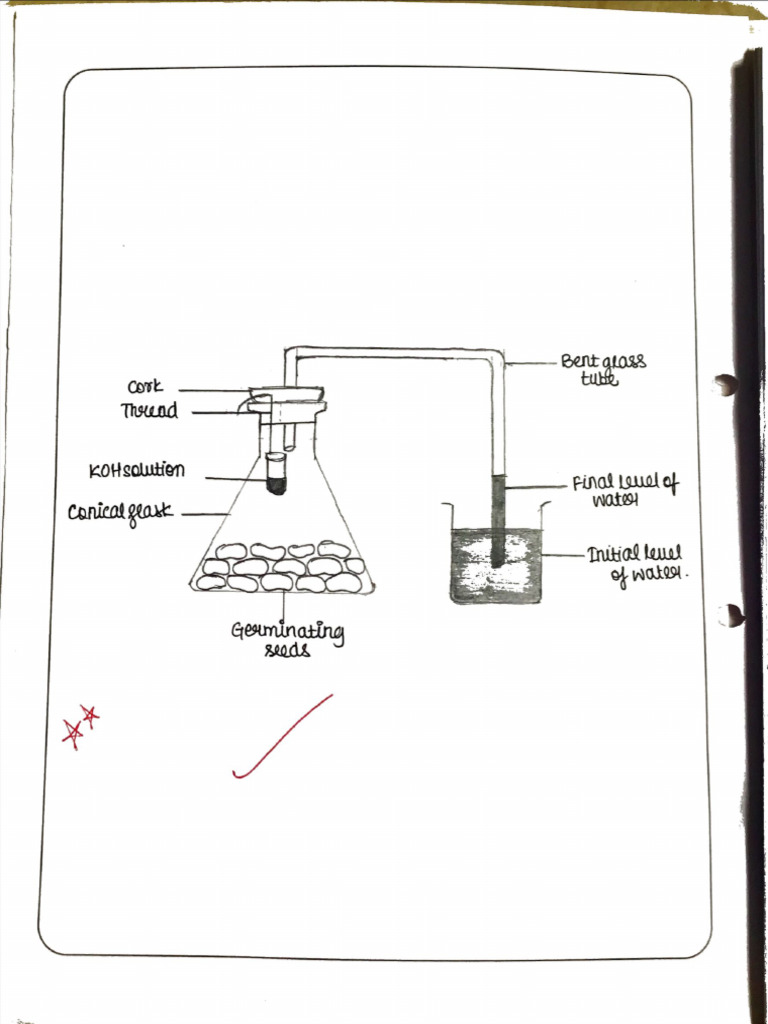 10509_Nandini_Bio_Record (1) | PDF