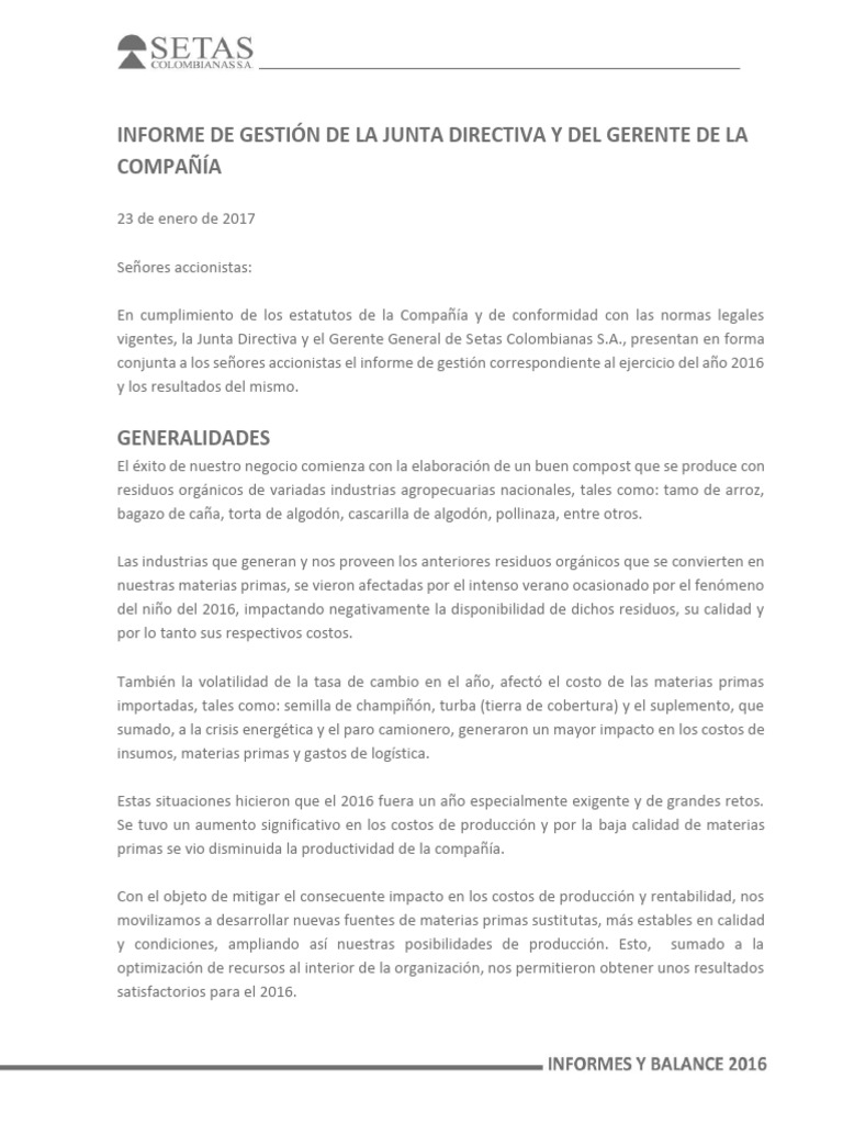 Ejemplo 2 Informe de Gestion | PDF | Auditoría | Contabilidad