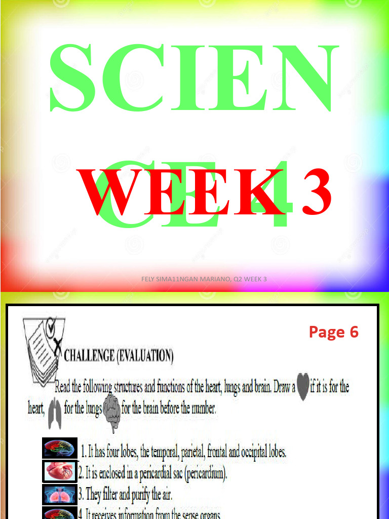 Q2 Science Week 3 | PDF | Fin | Fish