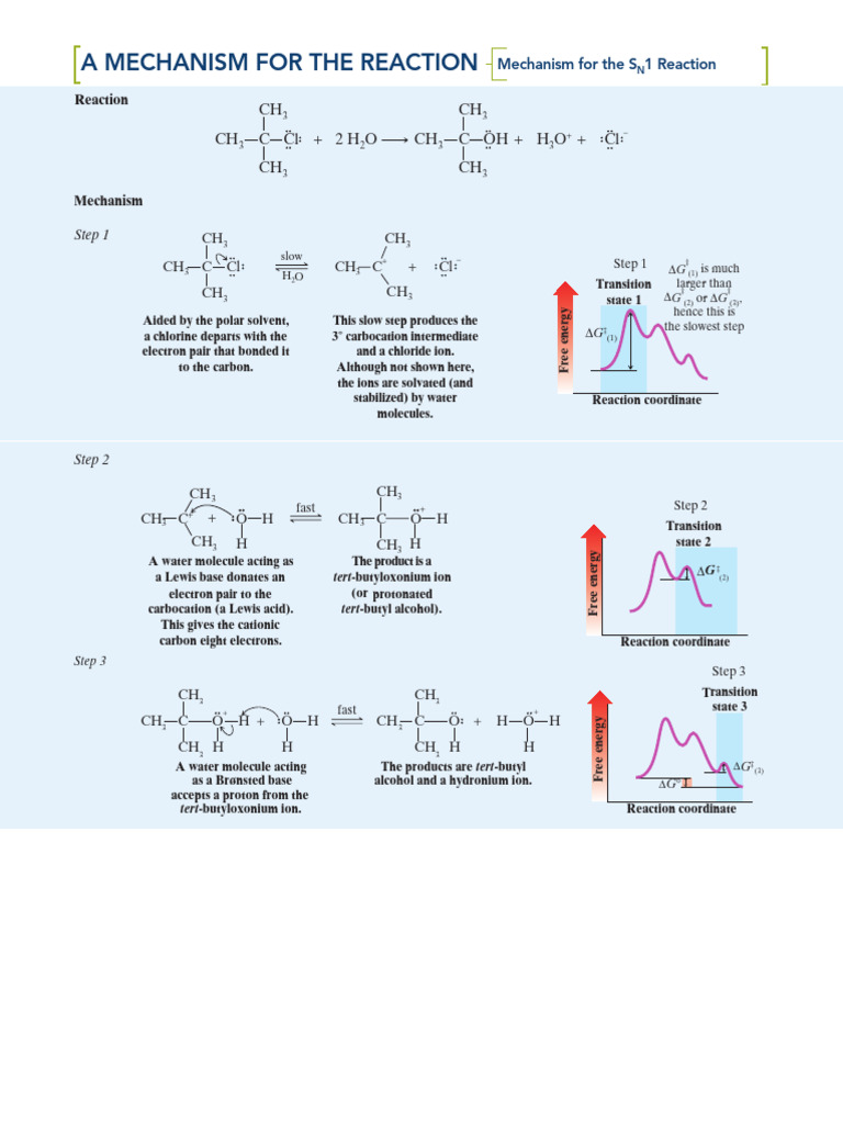 SN1 Mechanism | PDF