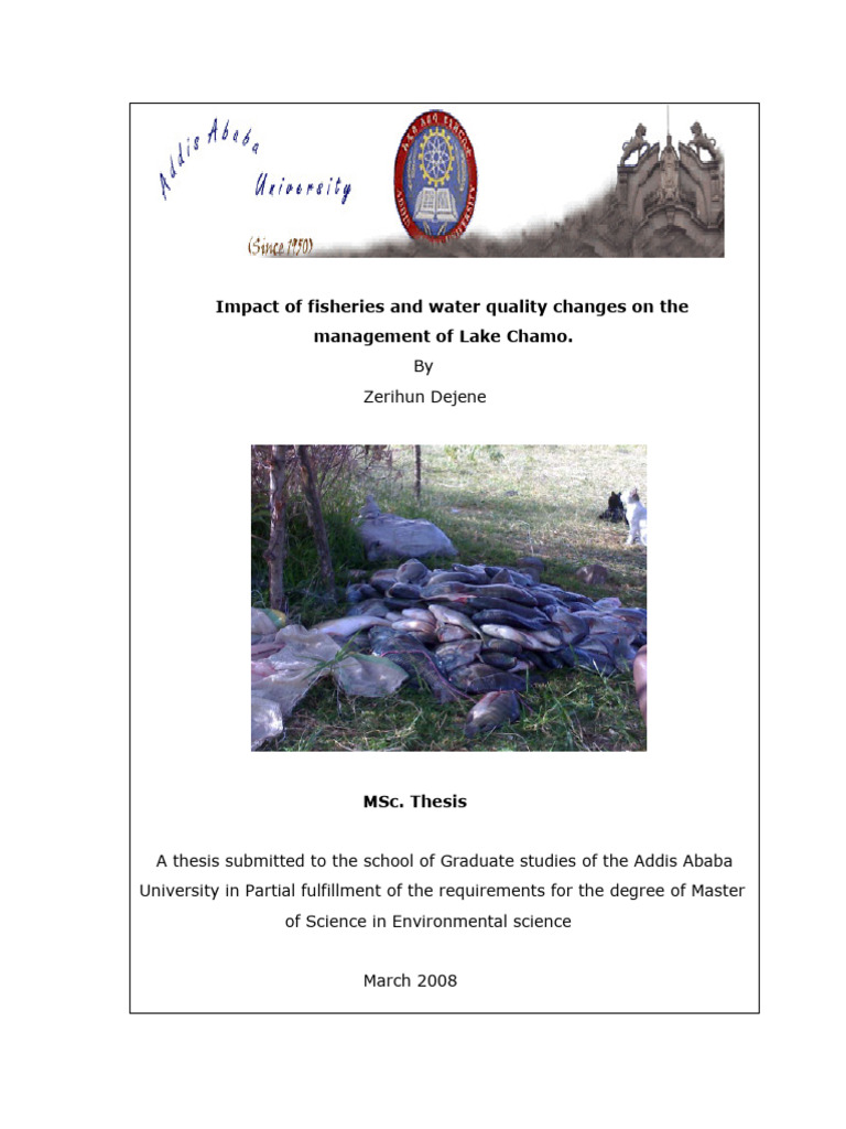 Zerihun Dejene | PDF