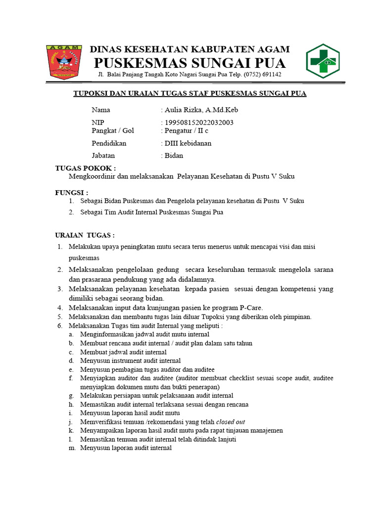 Tupoksi Dan Uraian TIM Audit Internal Puskesmas Sungai Pua | PDF