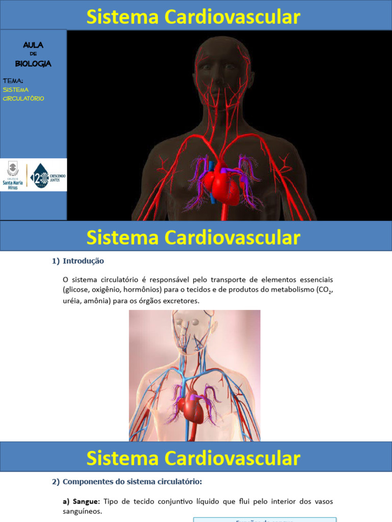 Sistema cardiovascular | PDF