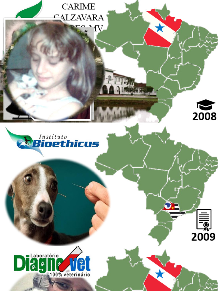 (MÓDULO 1) Aula 2. Ética e Profissionalismo | PDF