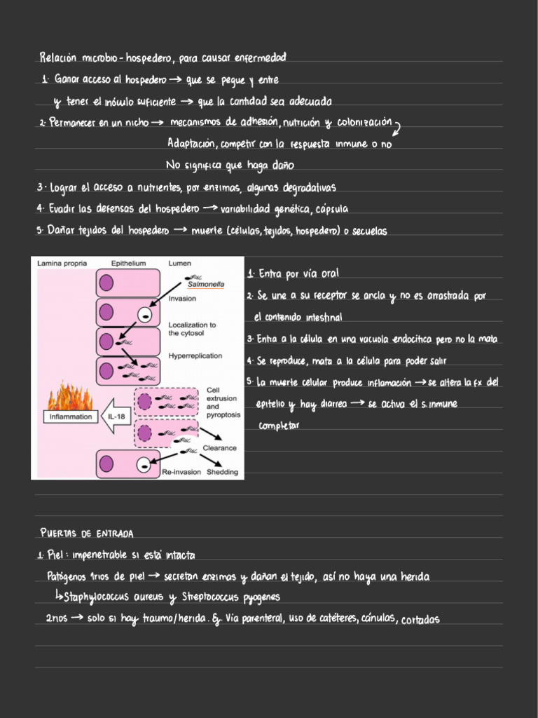 Patogénesis Bacteriana y Factores de Virulencia | PDF | Las bacterias ...