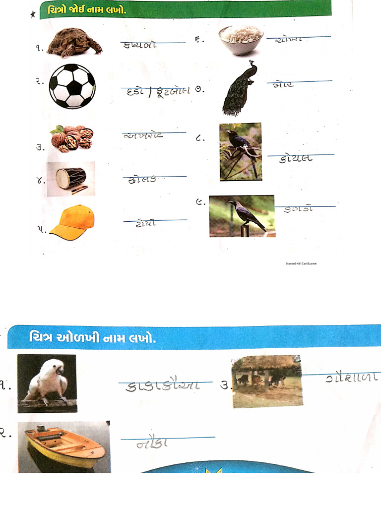 Class 3 Revision Pdf