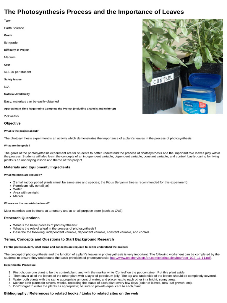 Photosynthesis Process Leaves | PDF | Leaf | Experiment