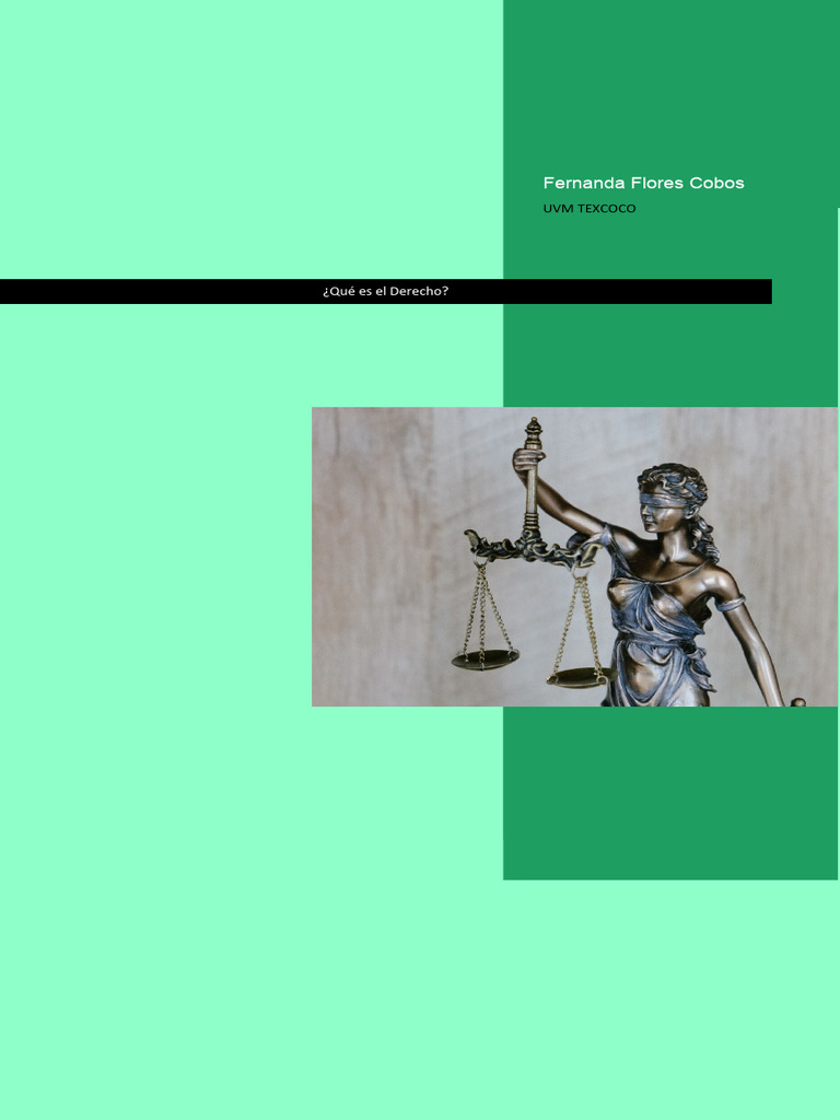 Infografía De Derecho Pdf