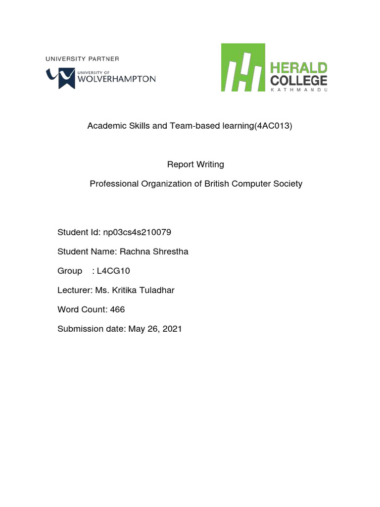 Professional Organization Report | PDF