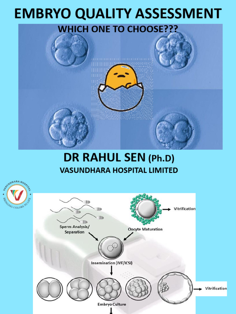 Embryo Quality Assessment: Which One To Choose??? | Download Free PDF ...