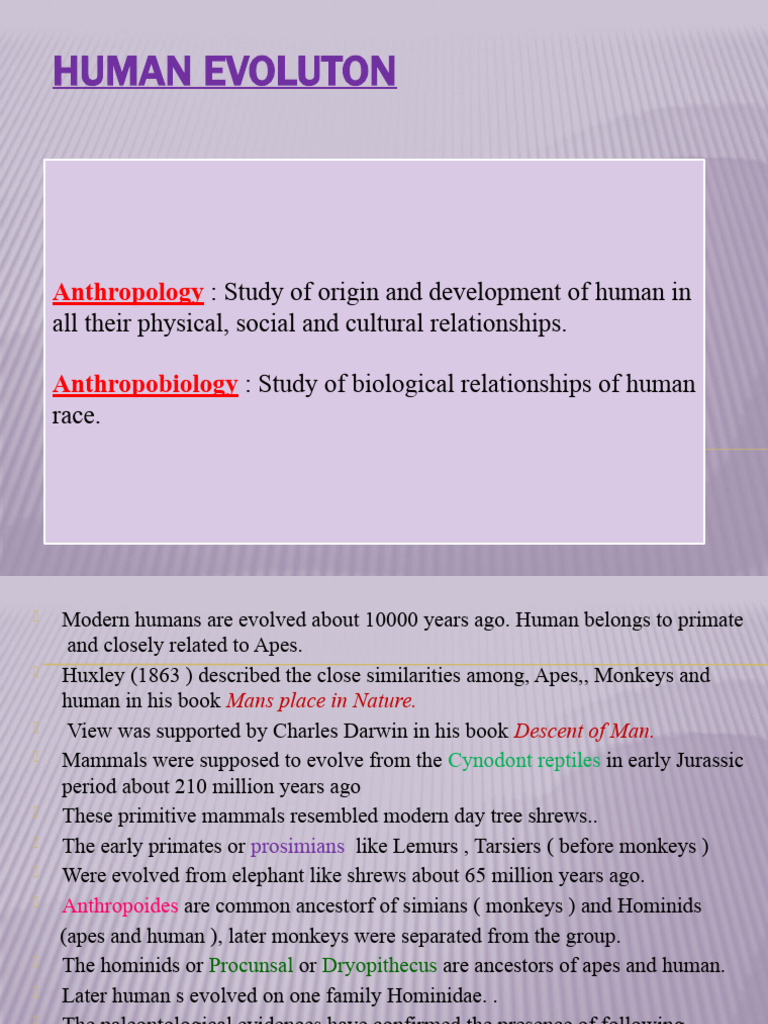 Human Evolution: Origins and Ancestry | PDF | Social Science | History