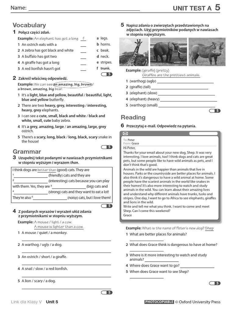 Link L5 U5 Unit Testa | PDF