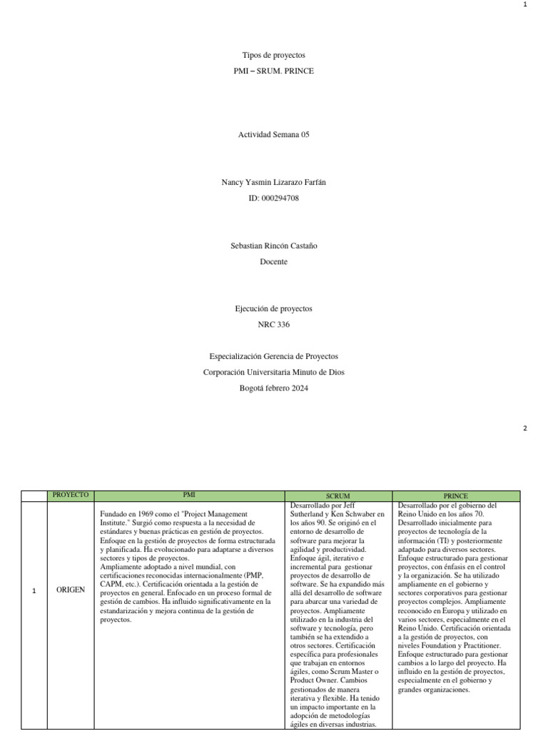 Nancy - Lizarazo - Tipos de Proyectos | PDF Nancy - Lizarazo - Tipos de Proyectos | PDF