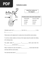 Human Ear Labeling Worksheet | PDF | Ear | Hearing