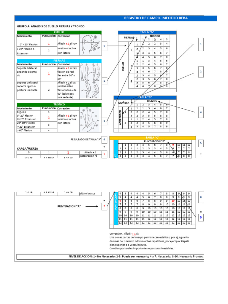 Hoja de Campo Metodo-Reba | PDF
