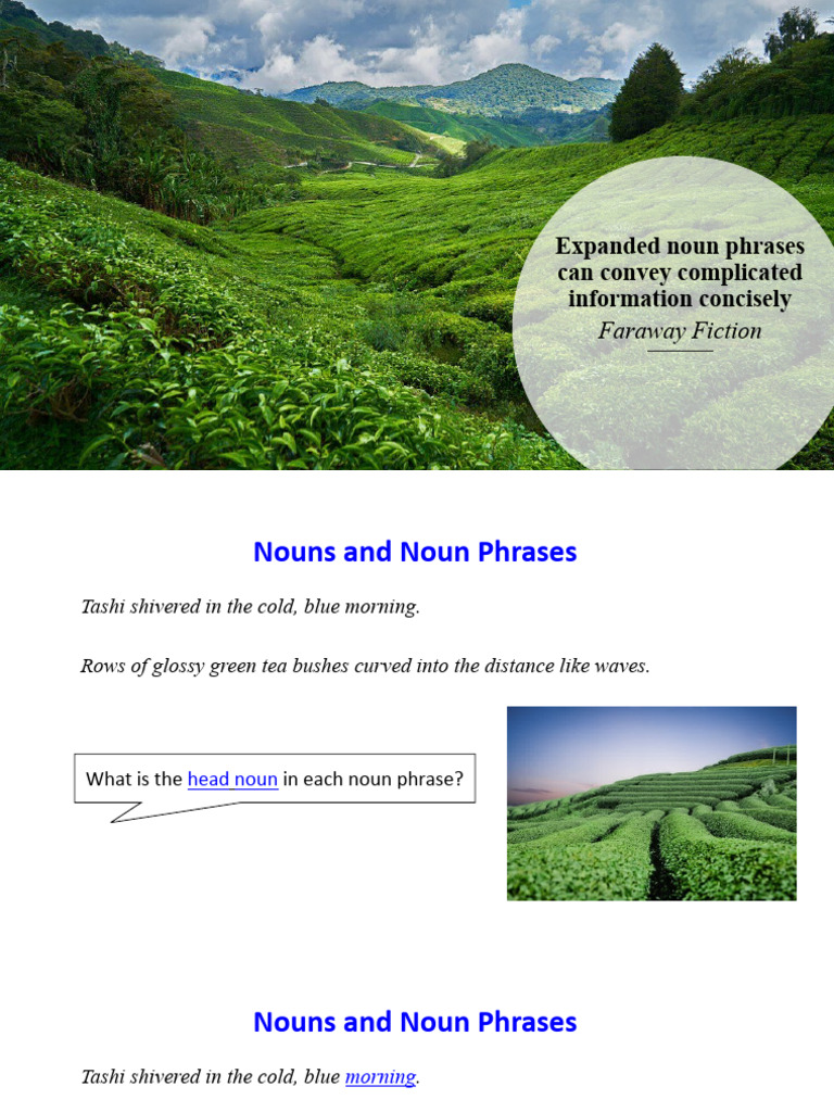 Expanded Noun Phrases Can Convey Complicated Information Concisely | PDF