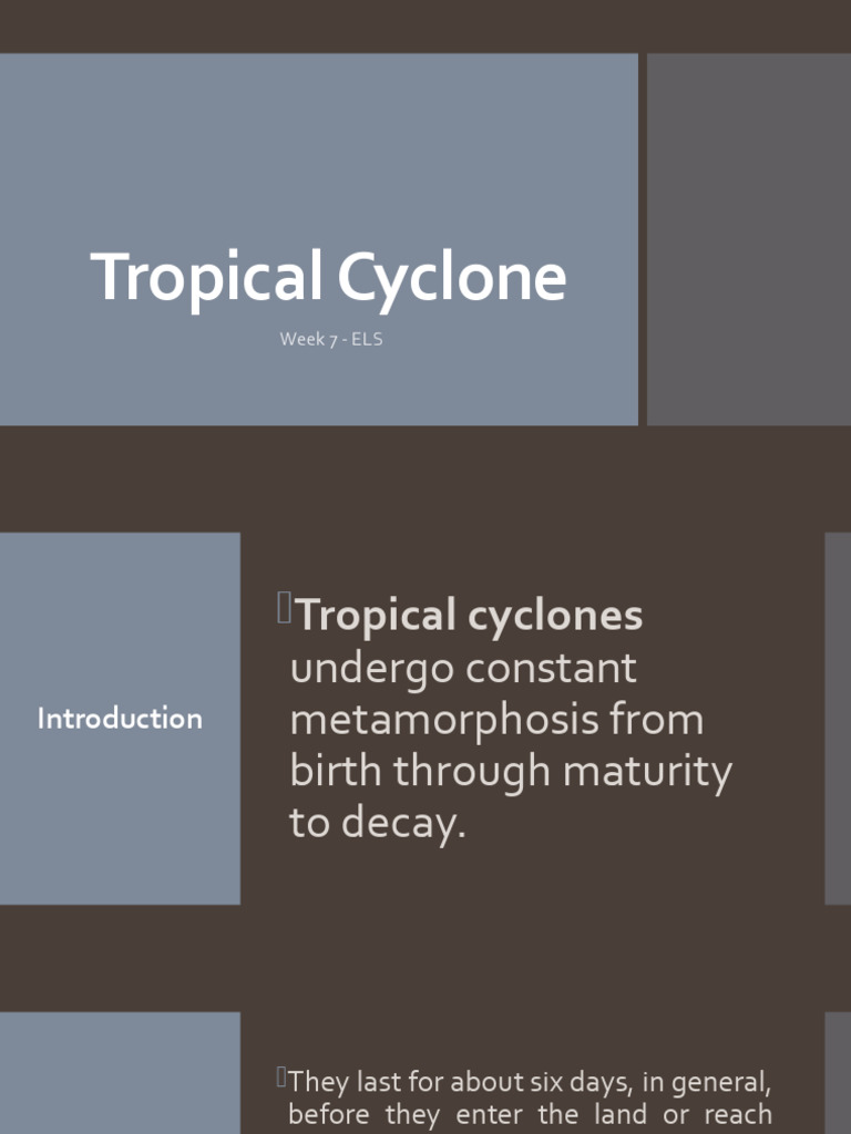 Tropical Cyclone | PDF | Tropical Cyclones | Wound