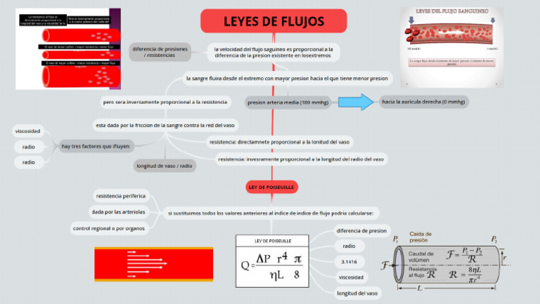 mapa fisio leyes de flujo | PDF
