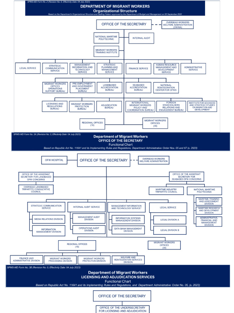 DMW Organizational and Functional Chart | PDF