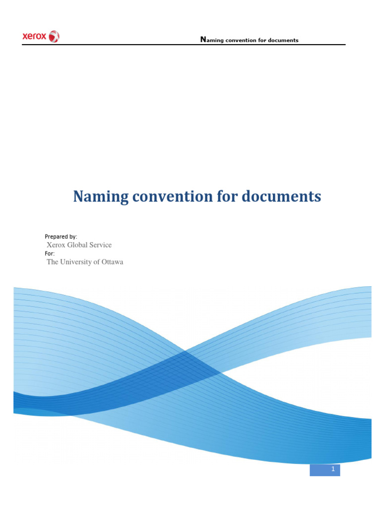 Document Naming Convention | PDF | Letter Case | Computer File