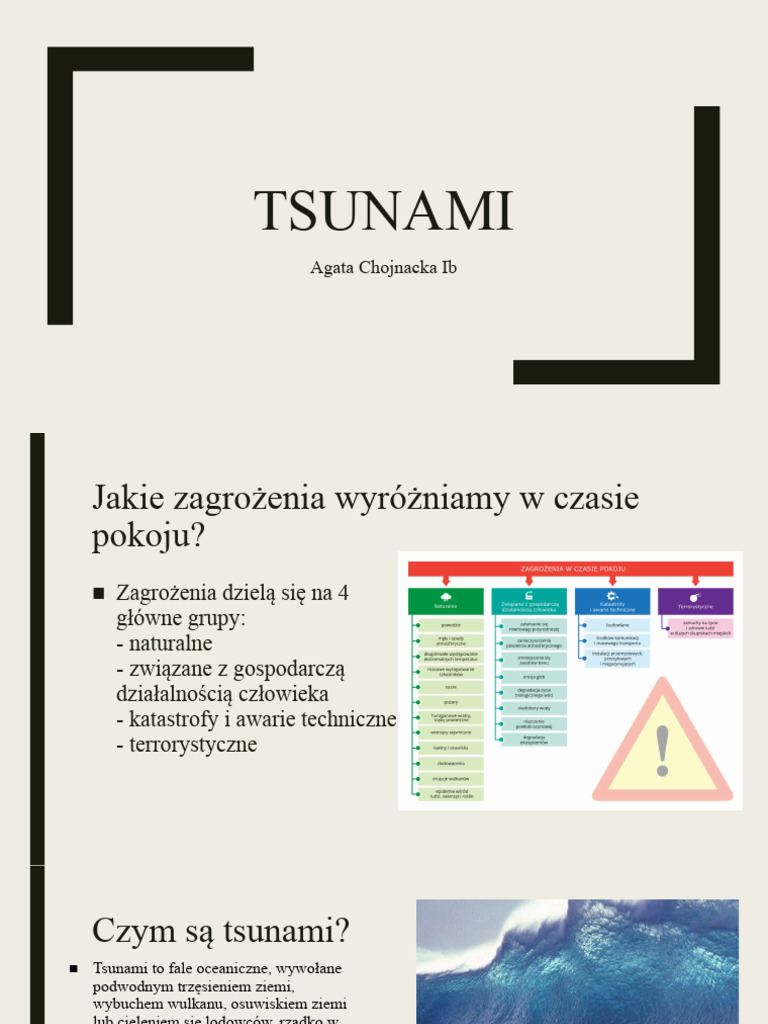Tsunami | PDF
