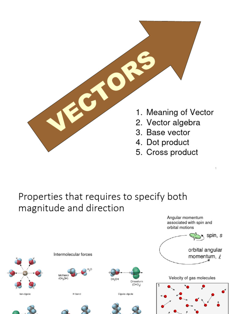CHEM1044 Vector Notes | PDF