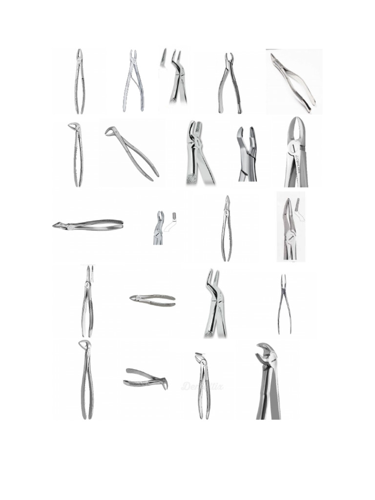 FORCEPS | PDF