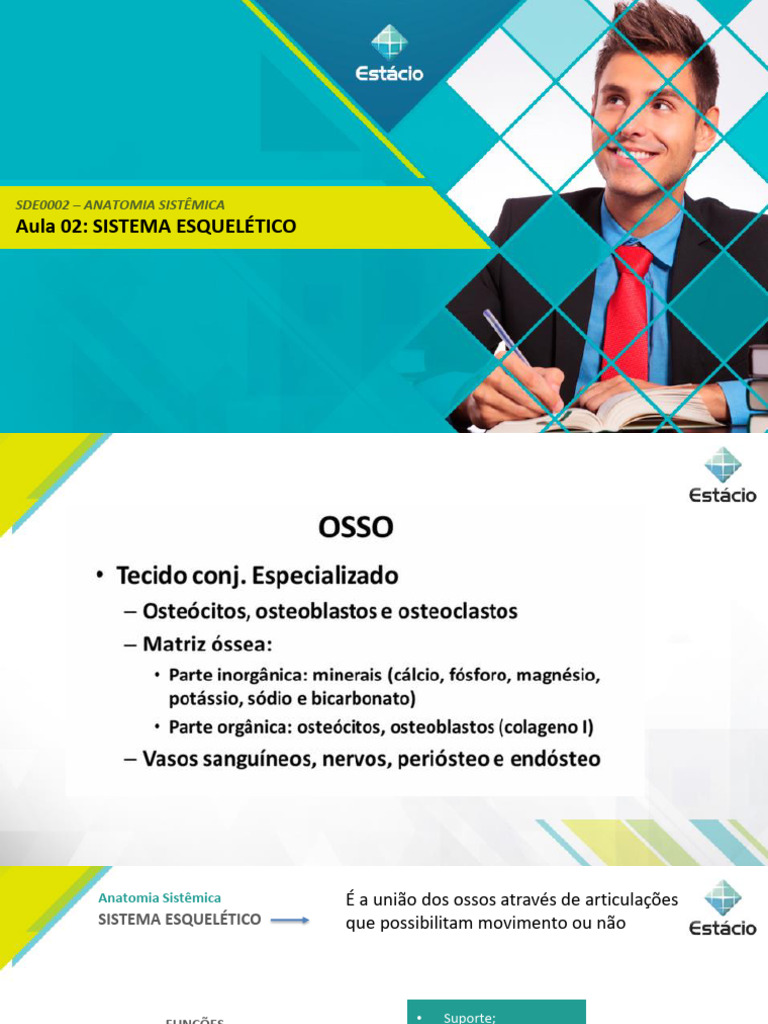 Anatomia UNESA Sistêmica Aula 2 PDF | PDF | Esqueleto | Osso