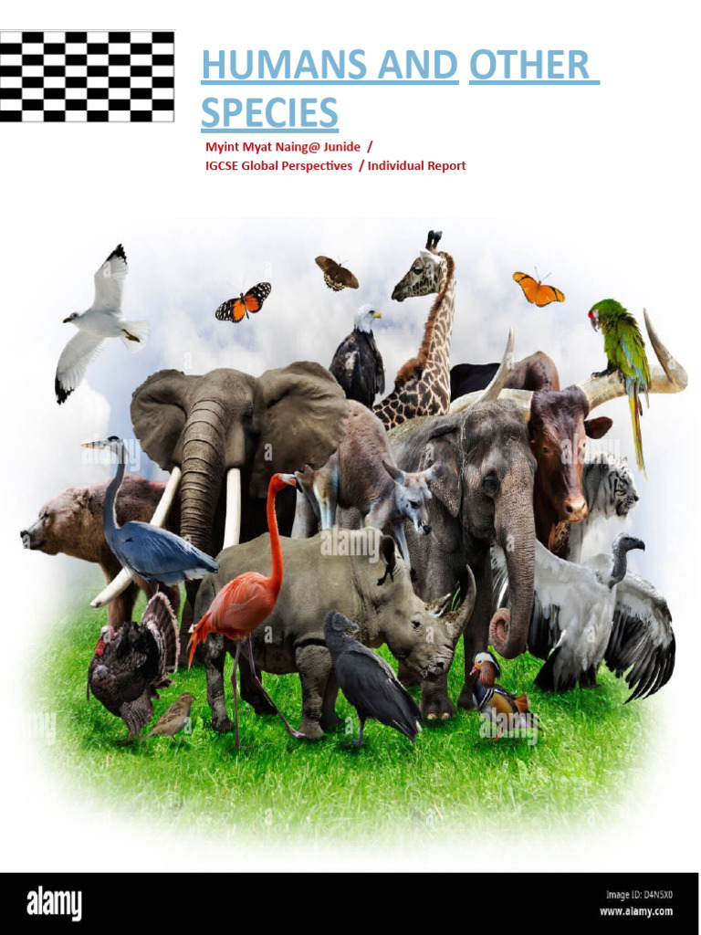 GP - Individual - Report - Junide 2024 | PDF | Hunting | Pollution